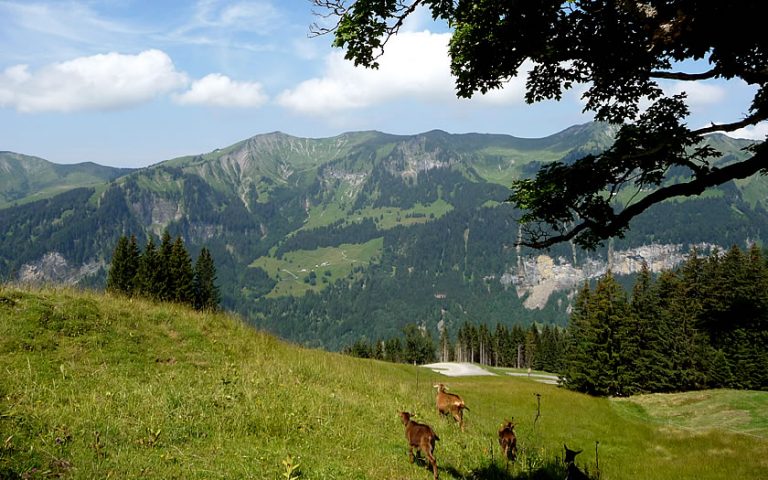 The Bregenzerwald in Vorarlberg | Austria Direct